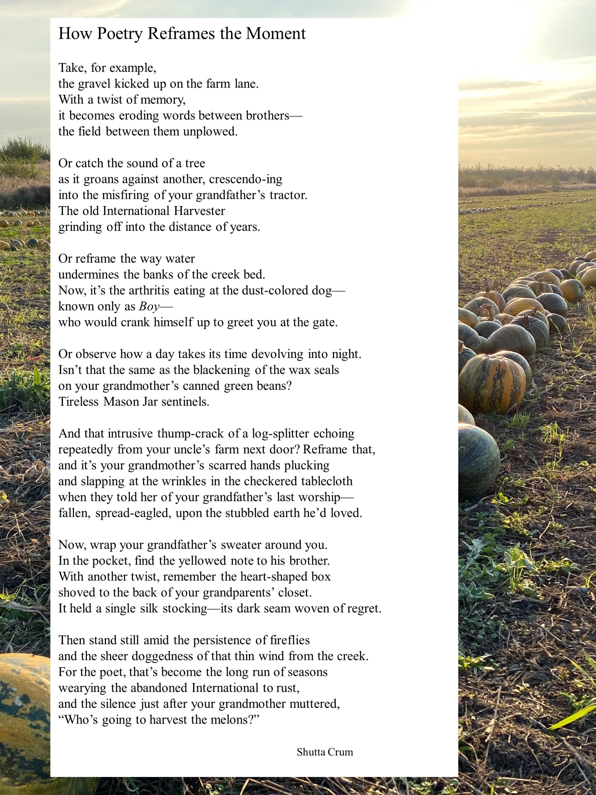 How-Poetry-Reframes-the-Moment | Shutta Crum